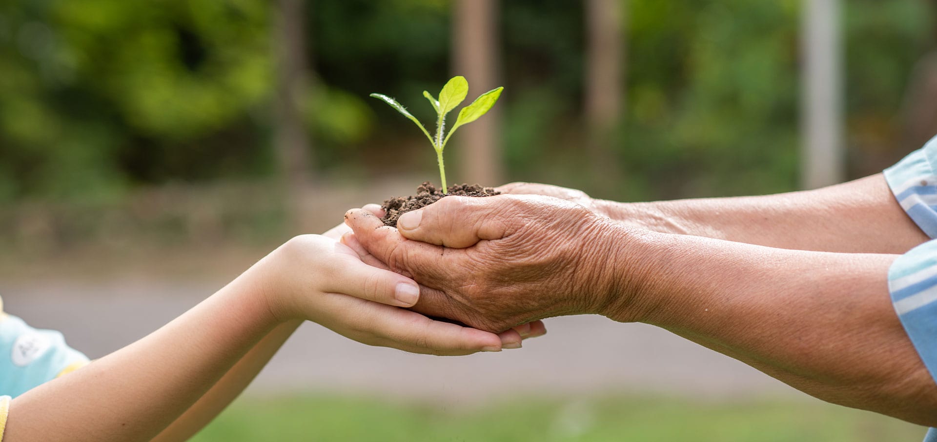 ASVATTHA “Nurture Nature, Enlighten Future”